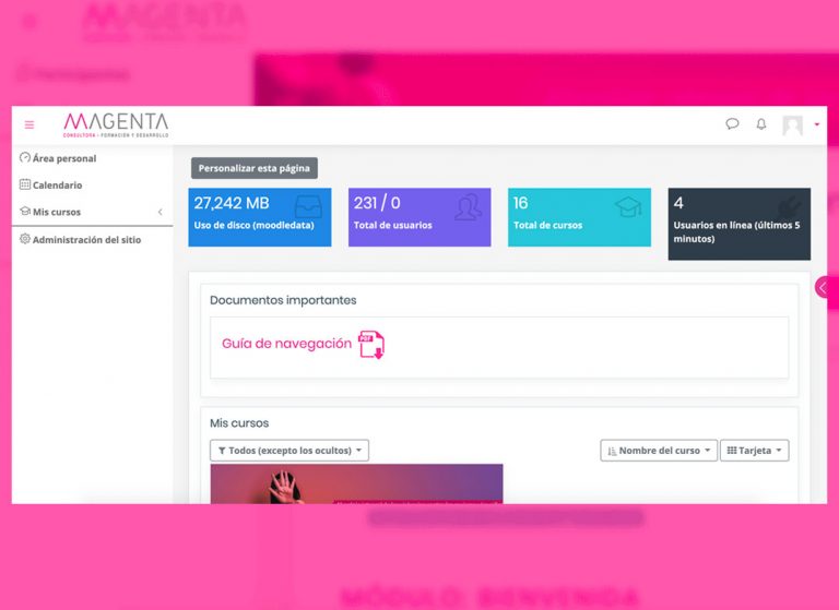 E-learning - Magenta Consultora